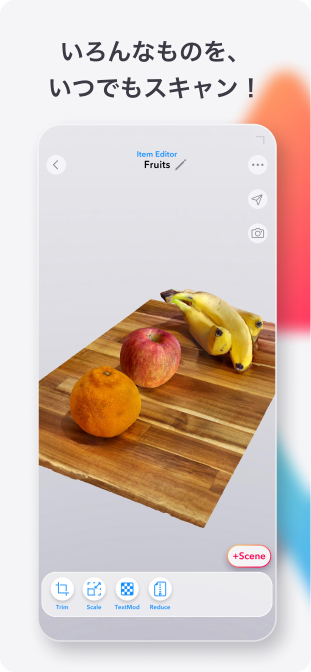 WIDAR - 3D Scan & Edit WIDAR - 3D Scan & Edit